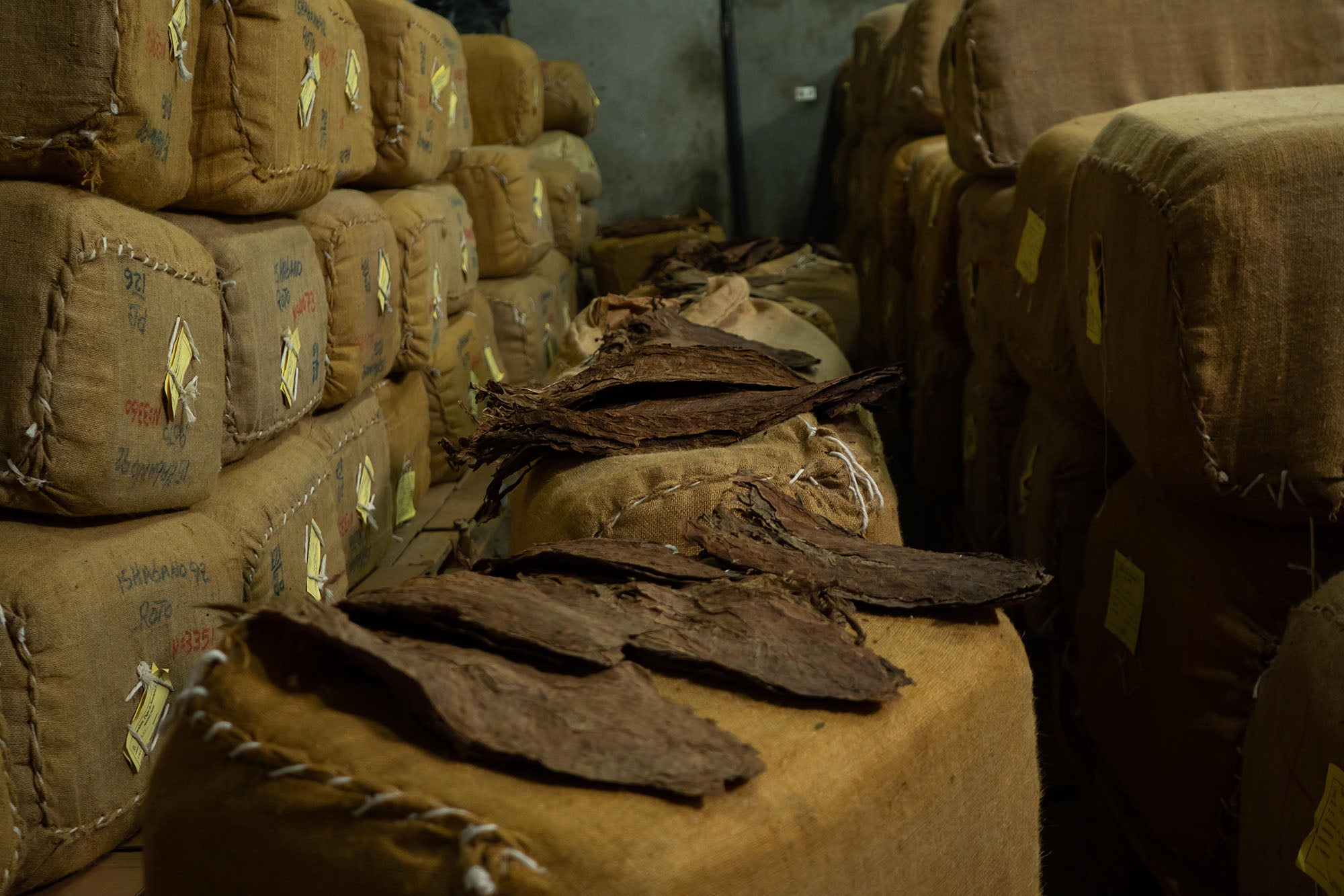 Tobacco Inventory – Tabacalera Pages